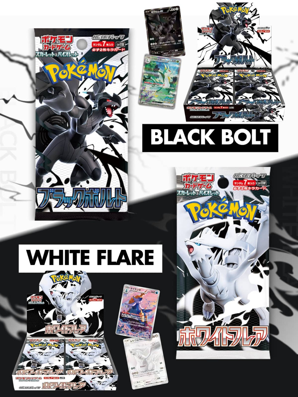God of Cards: Dein Shop für Yugioh, One Piece & Pokemon Karten